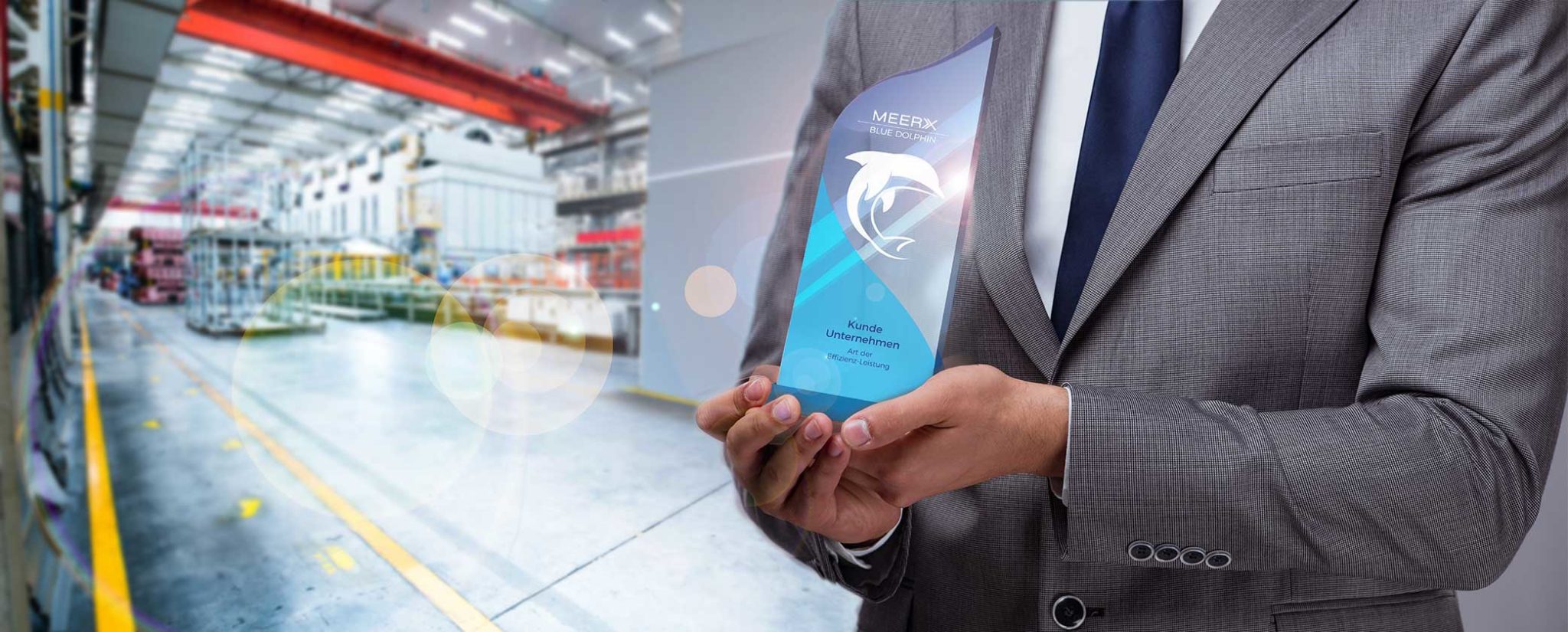 Blue Dolphin Award - MEERX